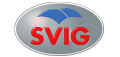 Svig